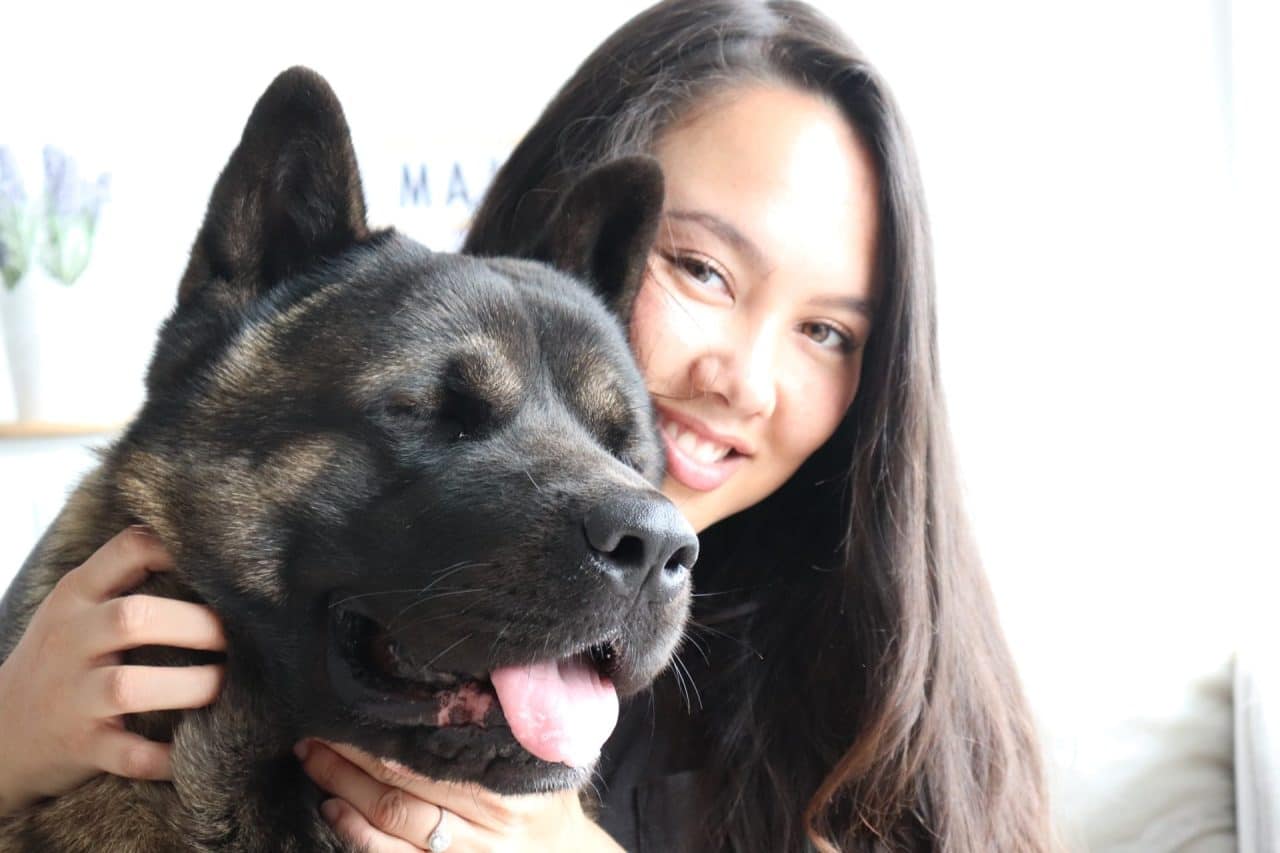 Découvrez le métier de dog manager avec Malcolm the akita