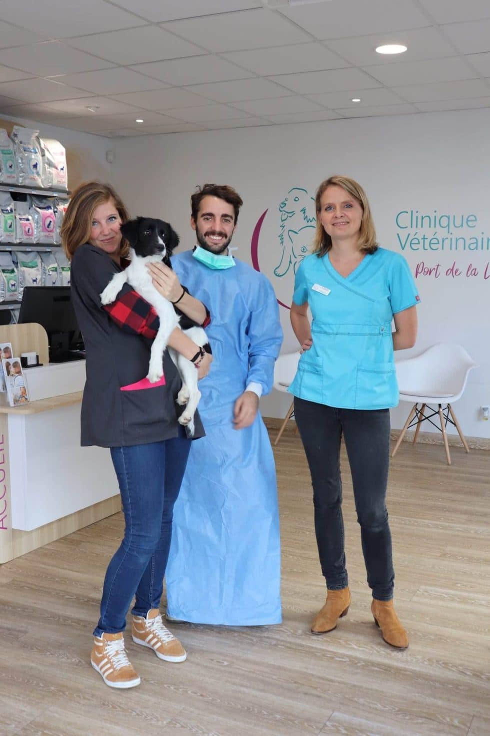 Métier vétérinaire : travailler avec des animaux