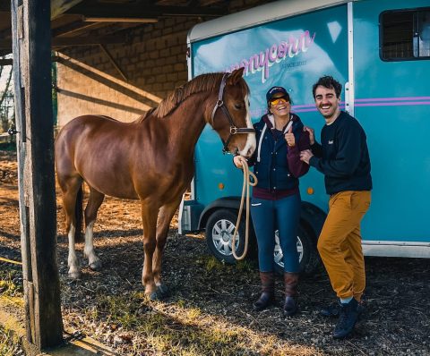 Devenir masseur équin : études, salaires, reconversion